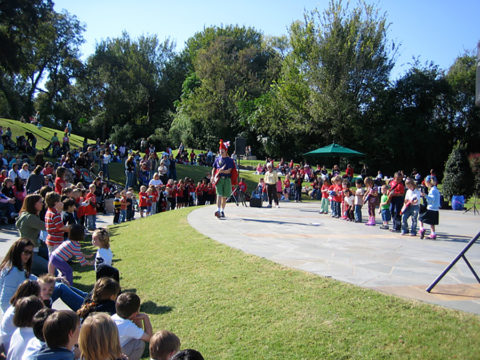 Blog - David Chicken